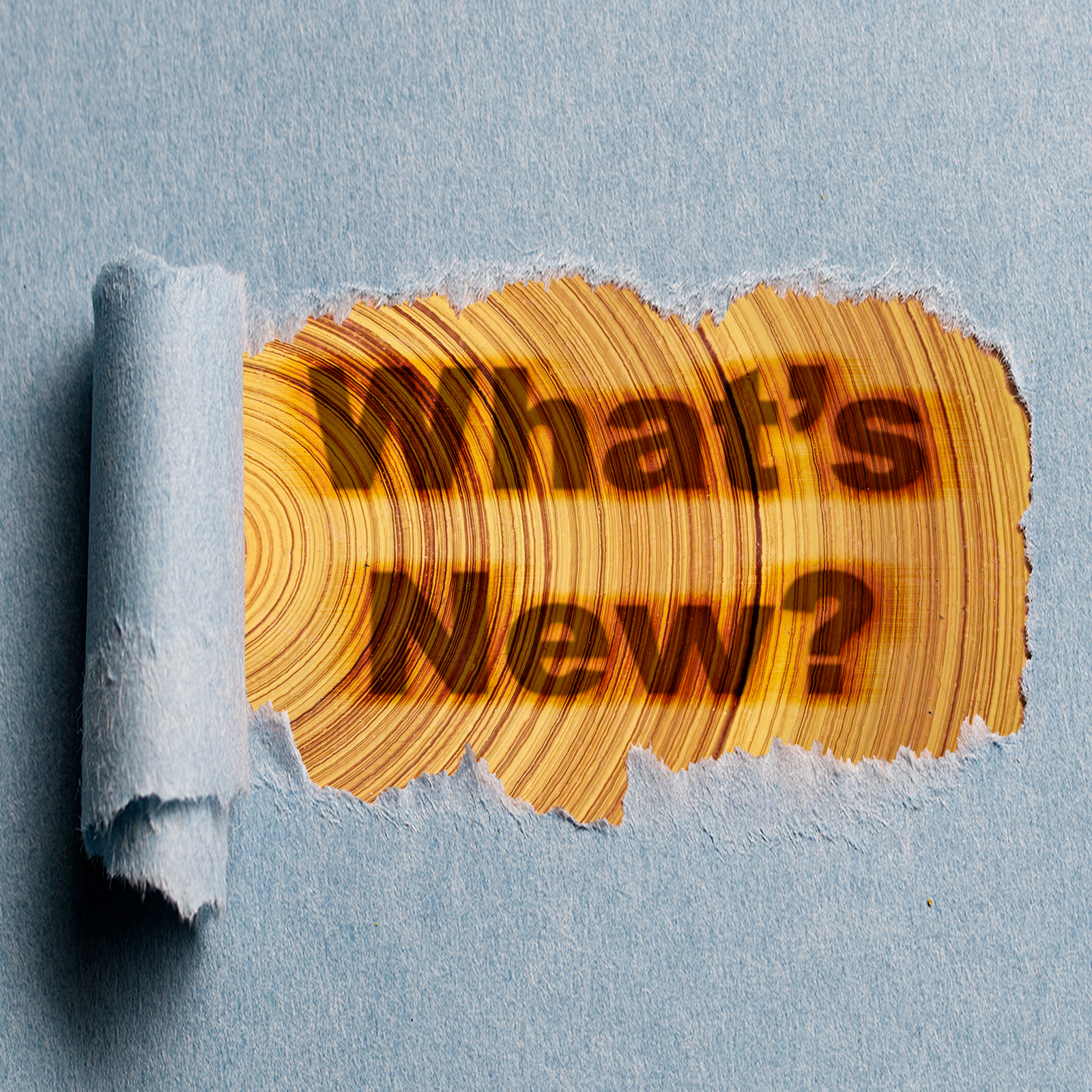 What's New? – Stadium Pen Blanks