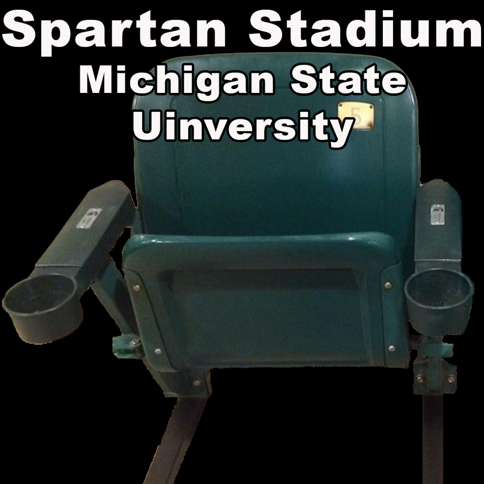 Spartan Stadium [PLASTIC] (Michigan State University) – Stadium Pen Blanks